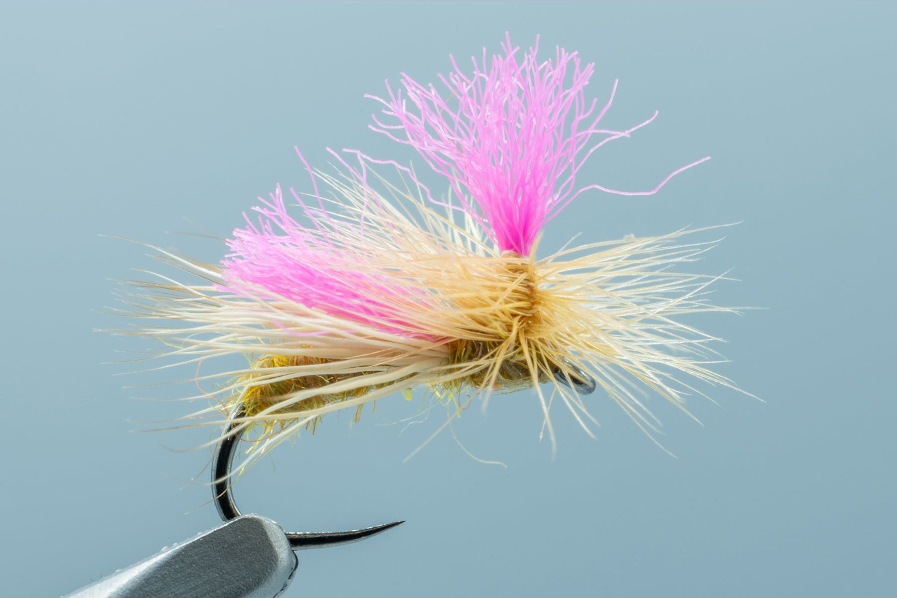 Antonio's Superman Caddis Ginger #16 – Madison River Fishing Company