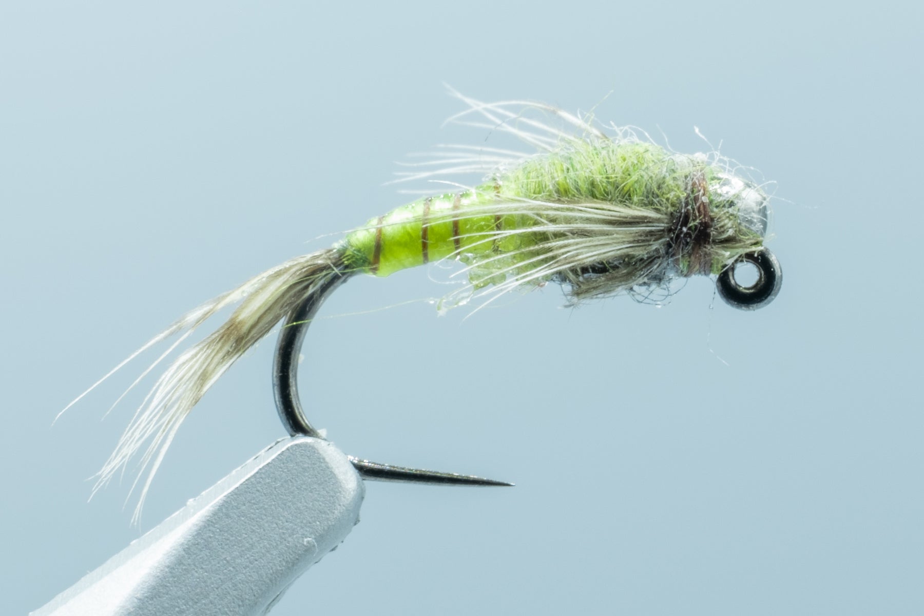 Two Bit Hooker Jig Craven Light Olive #18 – Madison River Fishing Company