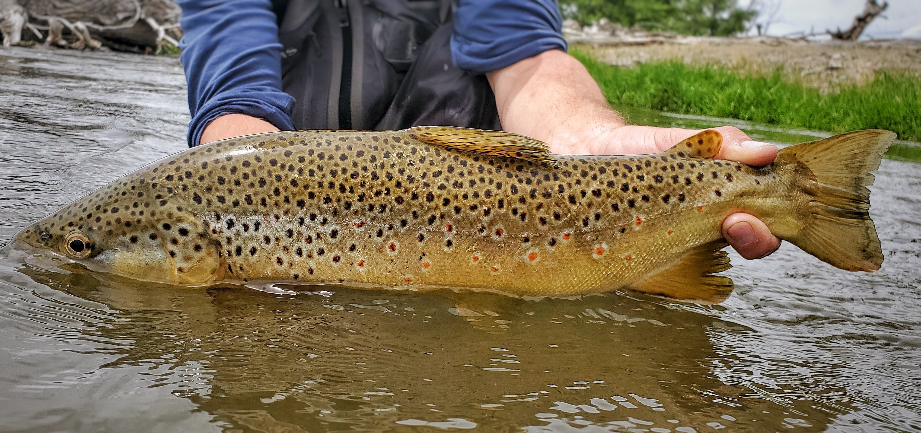 FALL IS IN THE AIR – Madison River Fishing Company