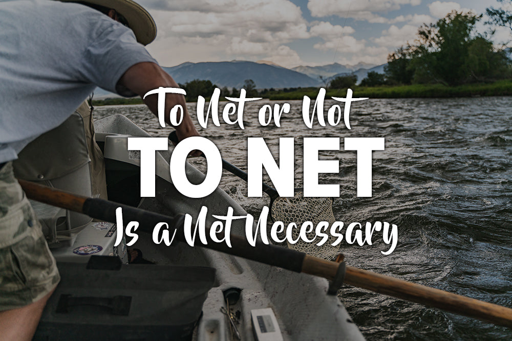 To Net Or Not To Net? Is a net necessary? – Madison River Fishing Company