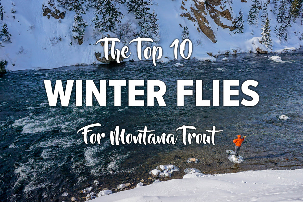 The Top 10 Winter Flies For Montana Trout – Madison River Fishing Company