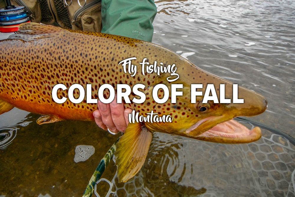 Fly Fishing Montana - The Colors of Fall – Madison River Fishing Company