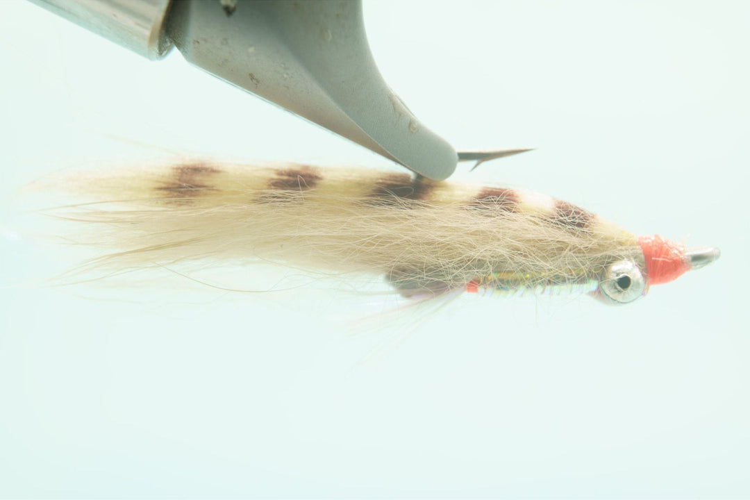 Bonefish Scampi Bead Chain Barred #8 – Madison River Fishing Company