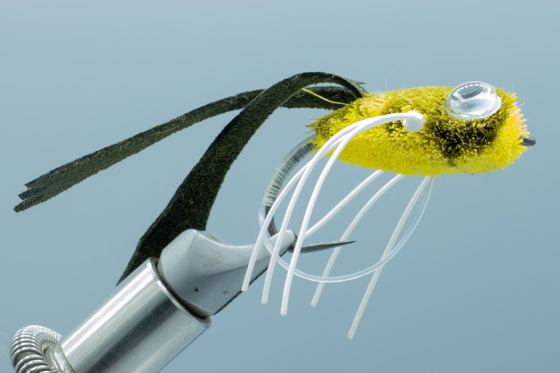 Dry Rind Frog Popper #6 – Madison River Fishing Company