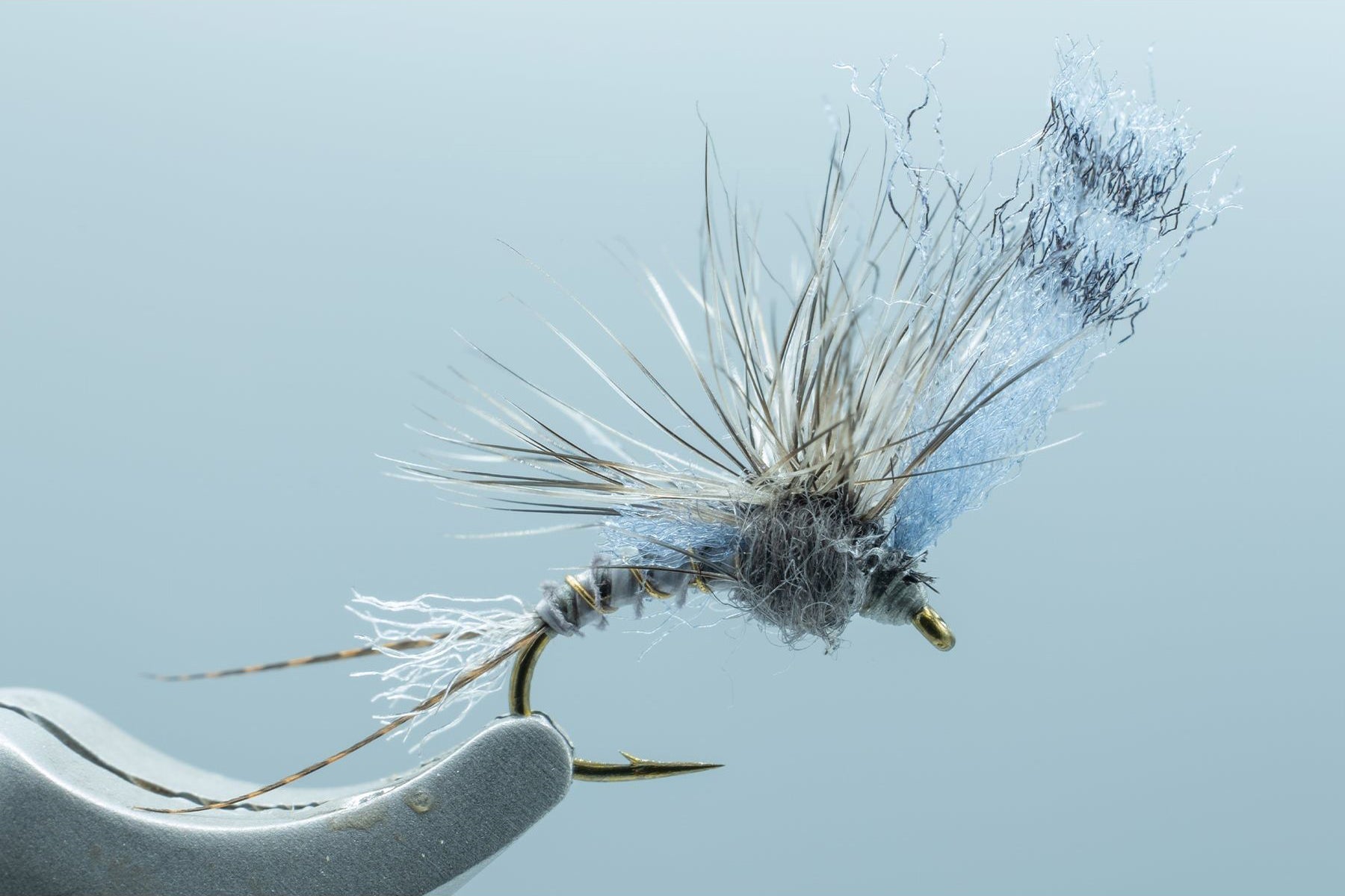 Film Critic Calli. #14 – Madison River Fishing Company