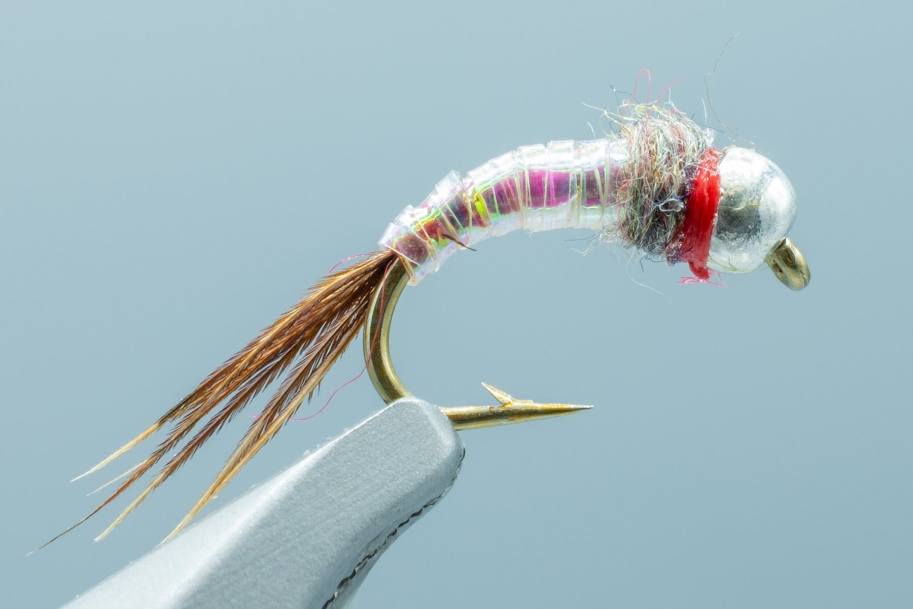 Rainbow Warrior - 1 Doz. – Madison River Fishing Company