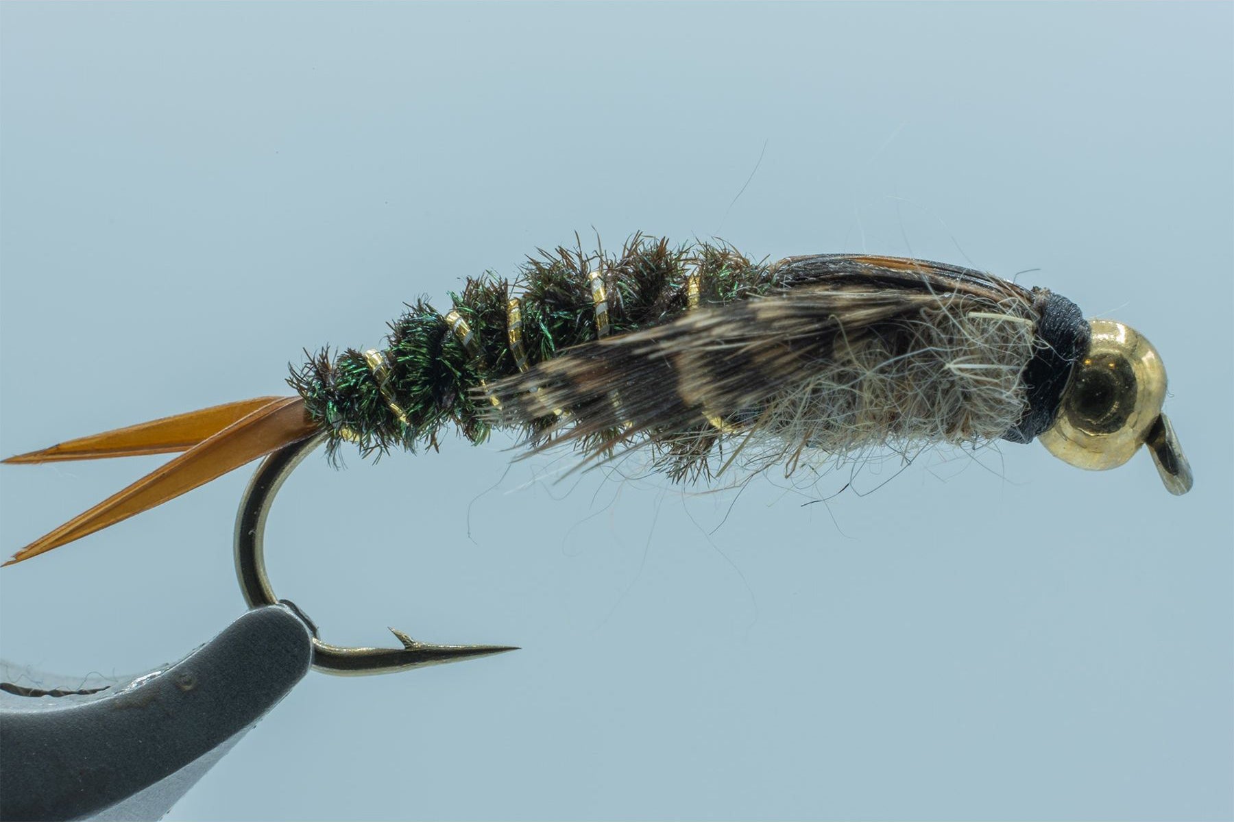 BH Twenty Incher – Madison River Fishing Company