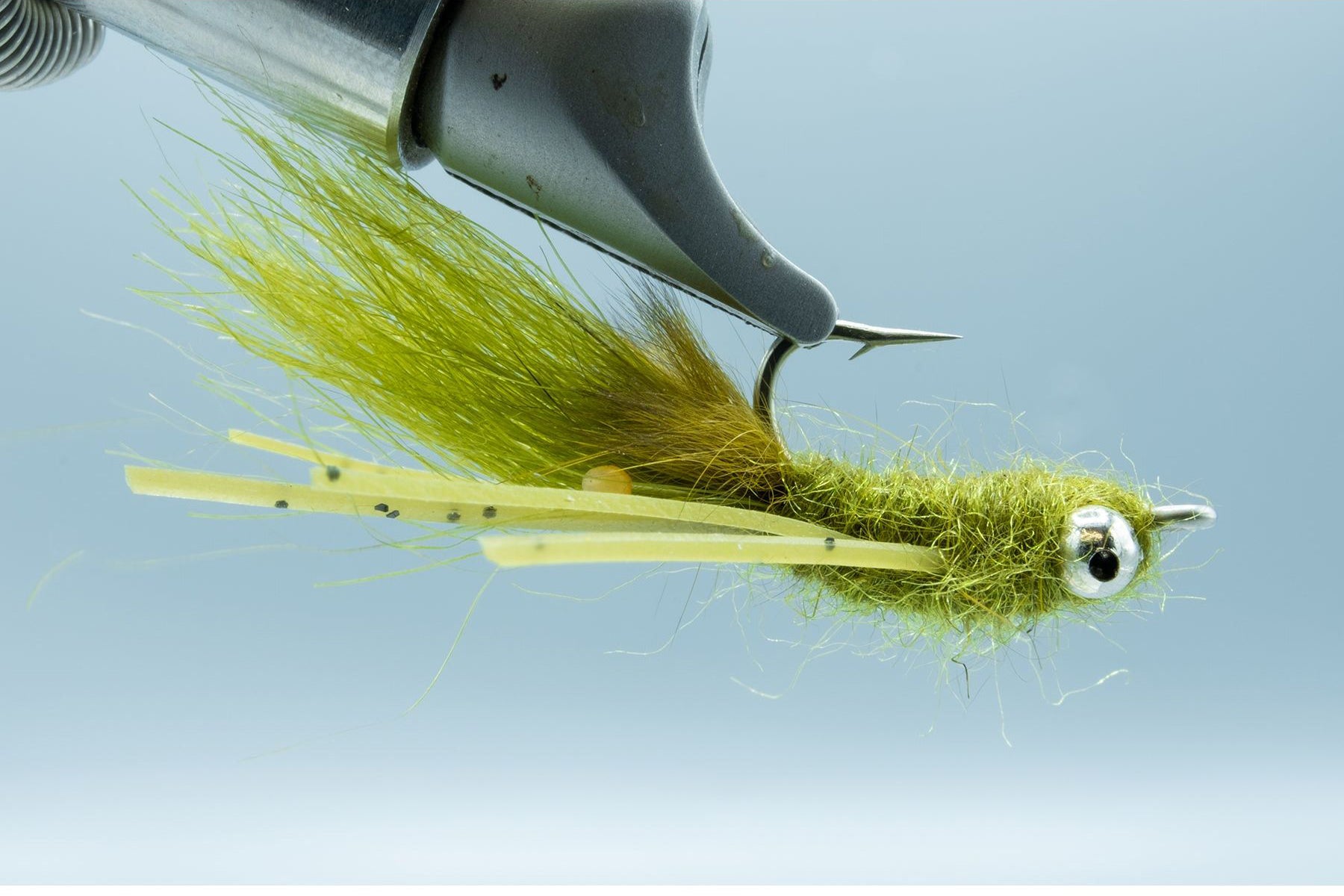 Veverka Mantis Shrimp - Olive – Madison River Fishing Company