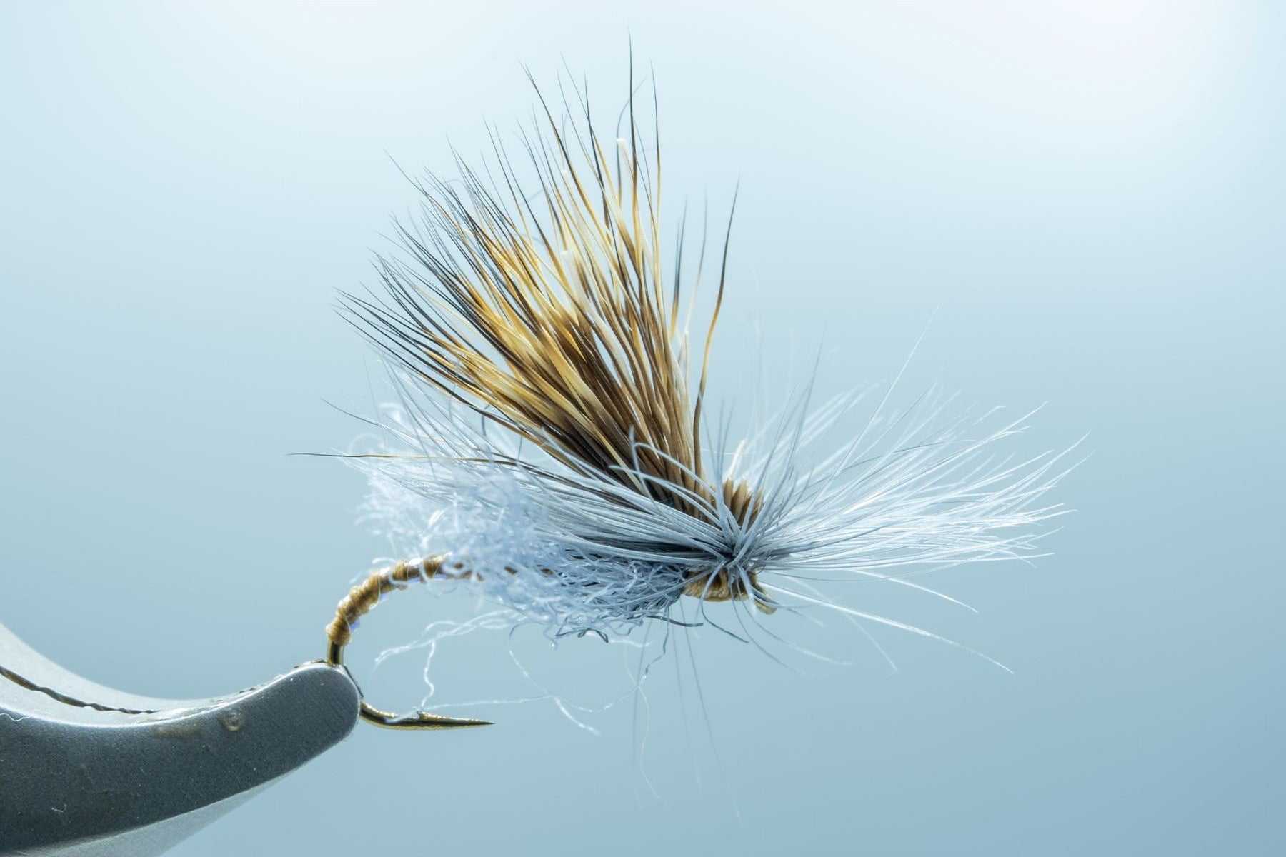 Missing Link Caddis – Madison River Fishing Company