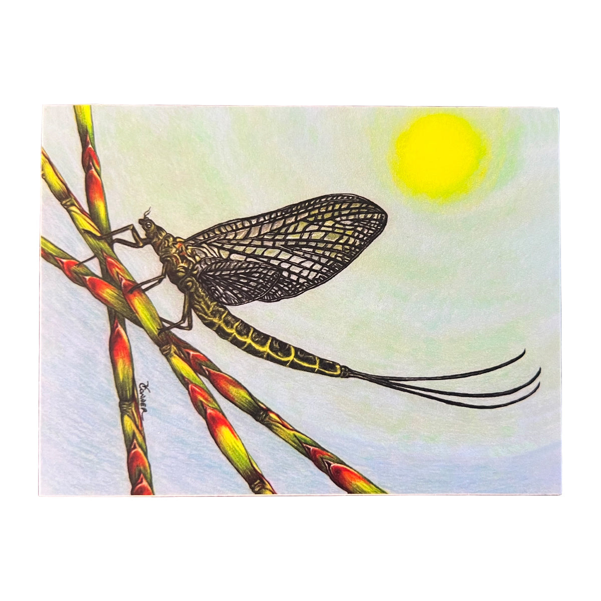 Conner Art Studio Green Drake Sticker – Madison River Fishing Company