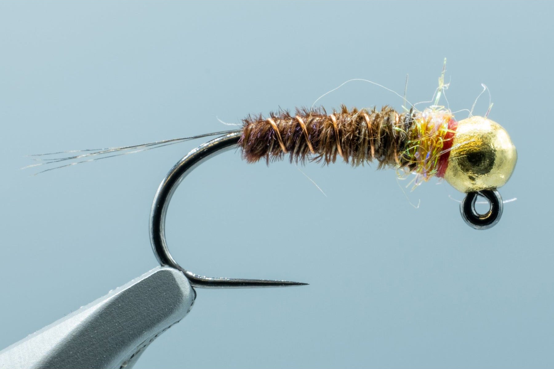 Egan's Tungsten Jig Frenchie #14 – Madison River Fishing Company