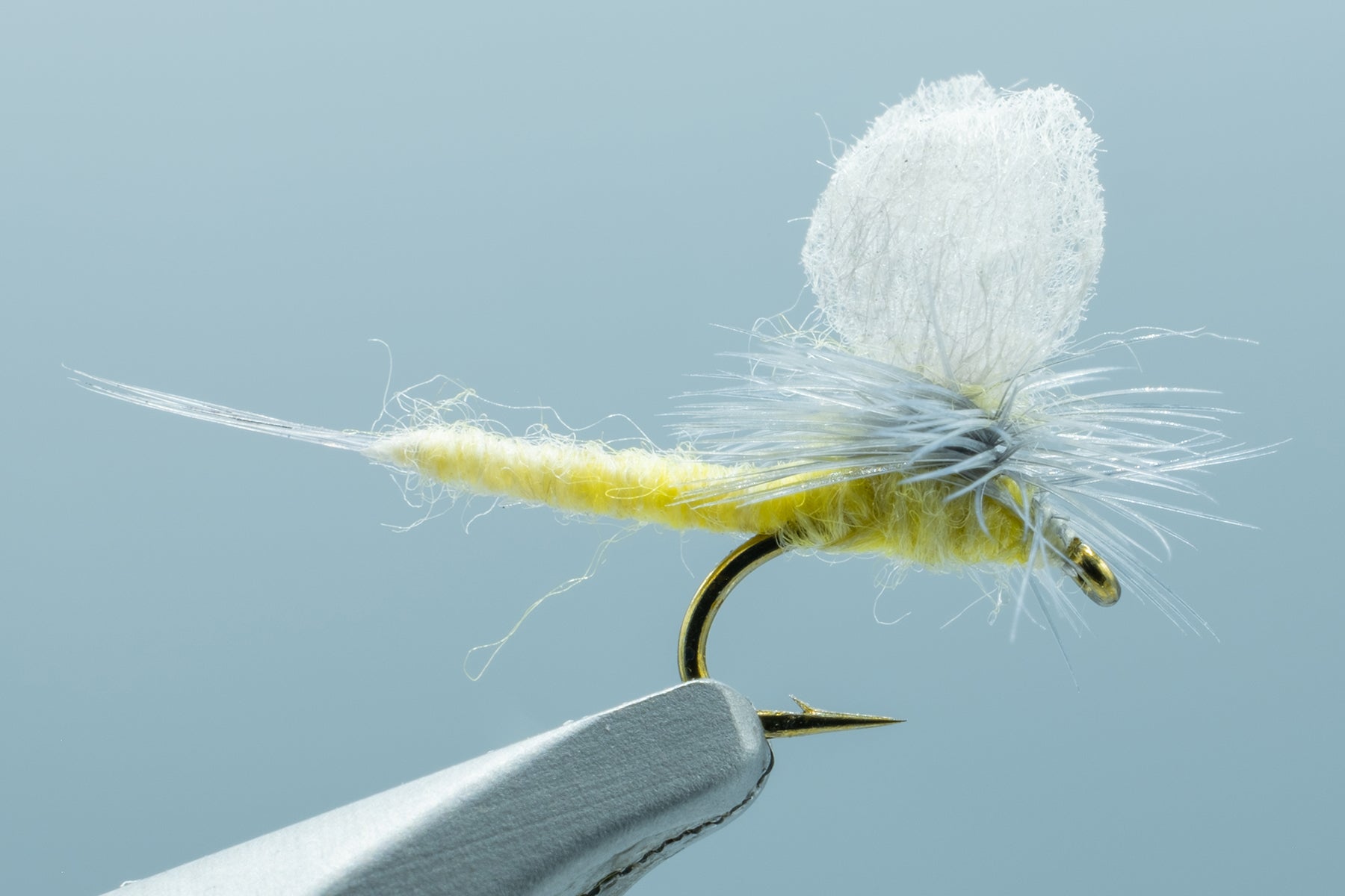 PMD Extended Body #18 – Madison River Fishing Company