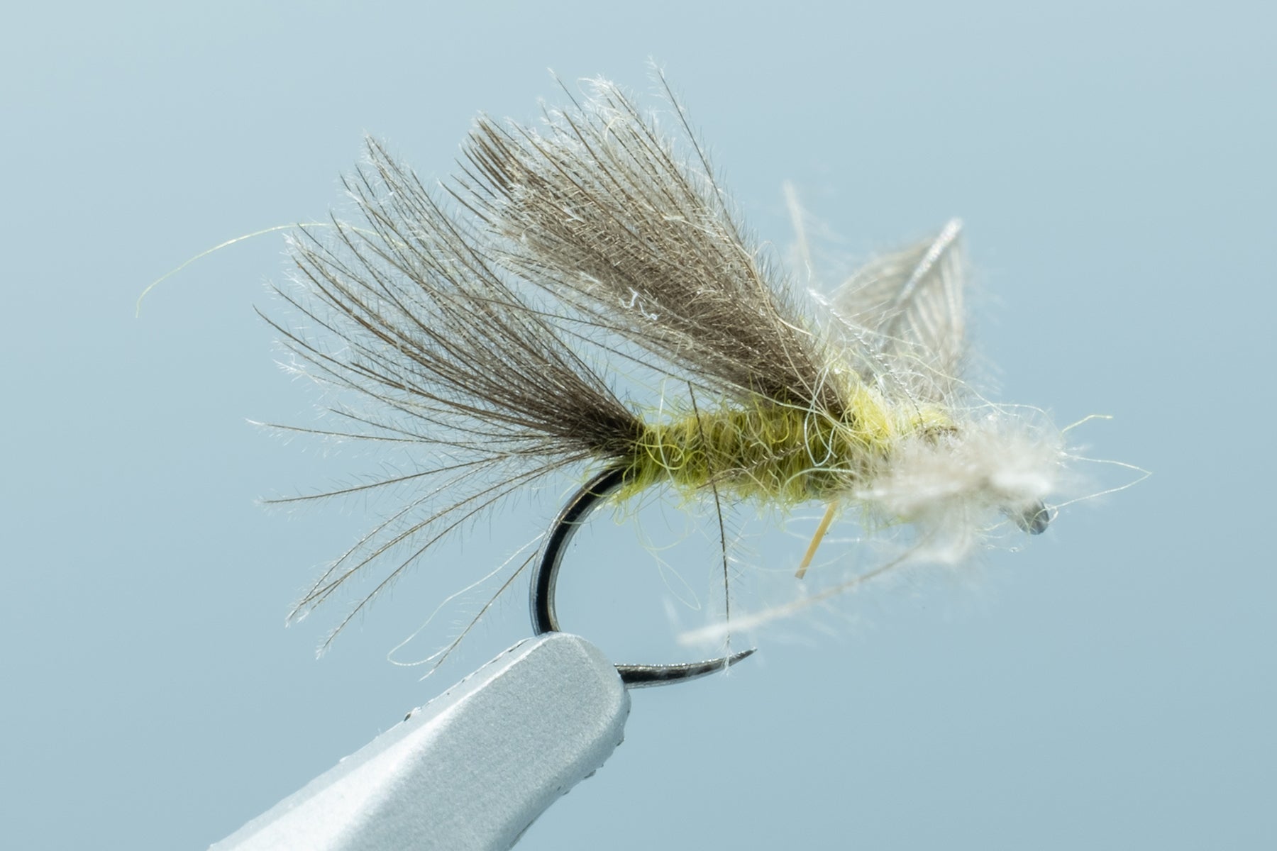Elden's CDC BWO Emerger BL #18 – Madison River Fishing Company