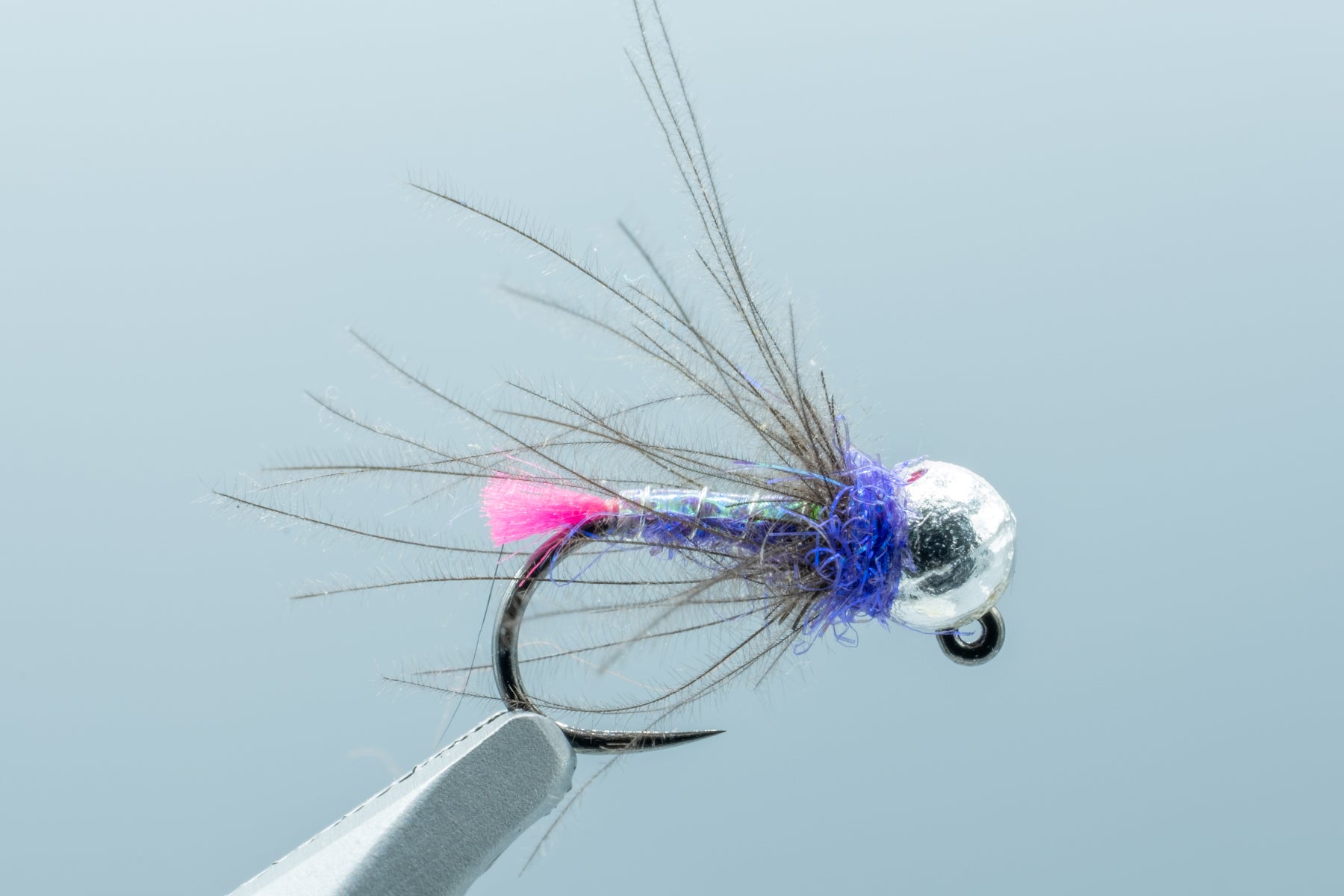 Olsen's Purple Blowtorch BL #16 3.2mm – Madison River Fishing Company