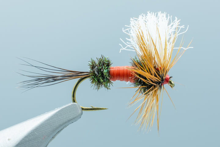 Royal Wulff - 1 Doz. – Madison River Fishing Company