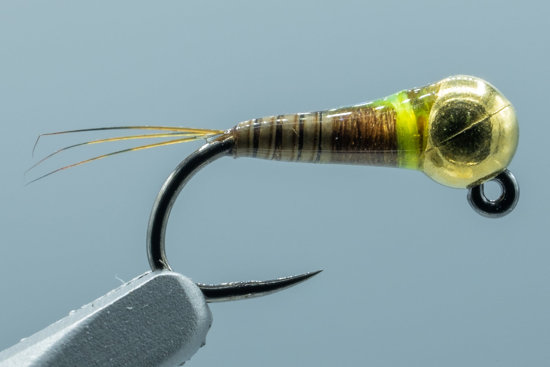 Barbless Spanish Bullet PMD Quill #18 2.8mm – Madison River Fishing Company