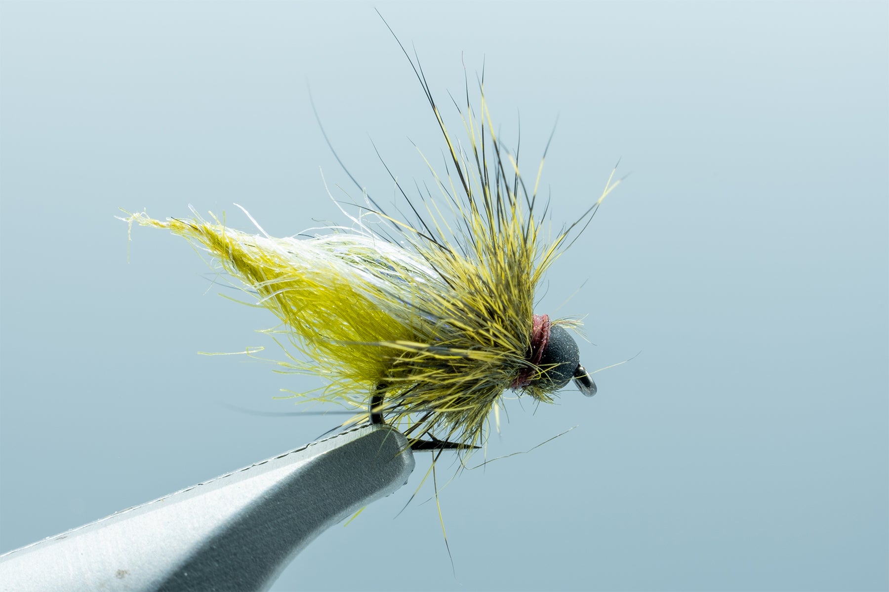 Galloup's BH UV Caddis Pupa Olive #18 – Madison River Fishing Company