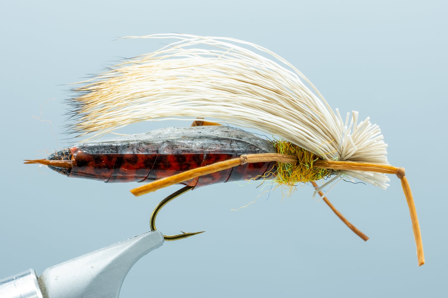 Trina's Dog Puke Salmonfly #6 – Madison River Fishing Company