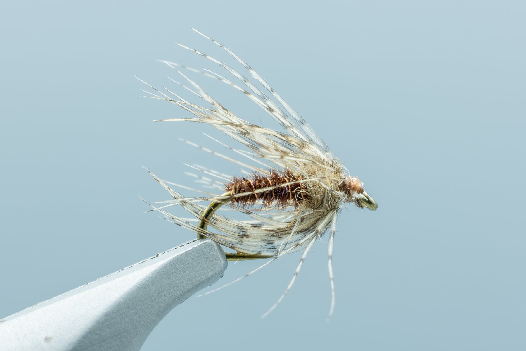 Soft Hackle Pheasant Tail – Madison River Fishing Company