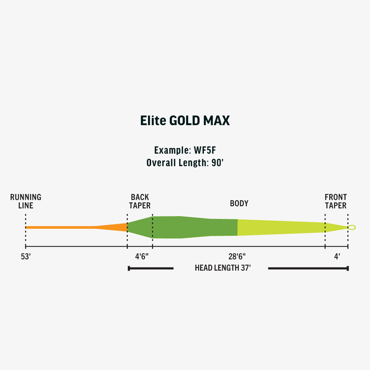 RIO Elite Gold Max Fly Line – Madison River Fishing Company