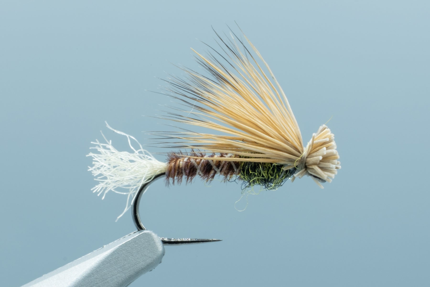 Mathews PT X Caddis Olive #16 – Madison River Fishing Company