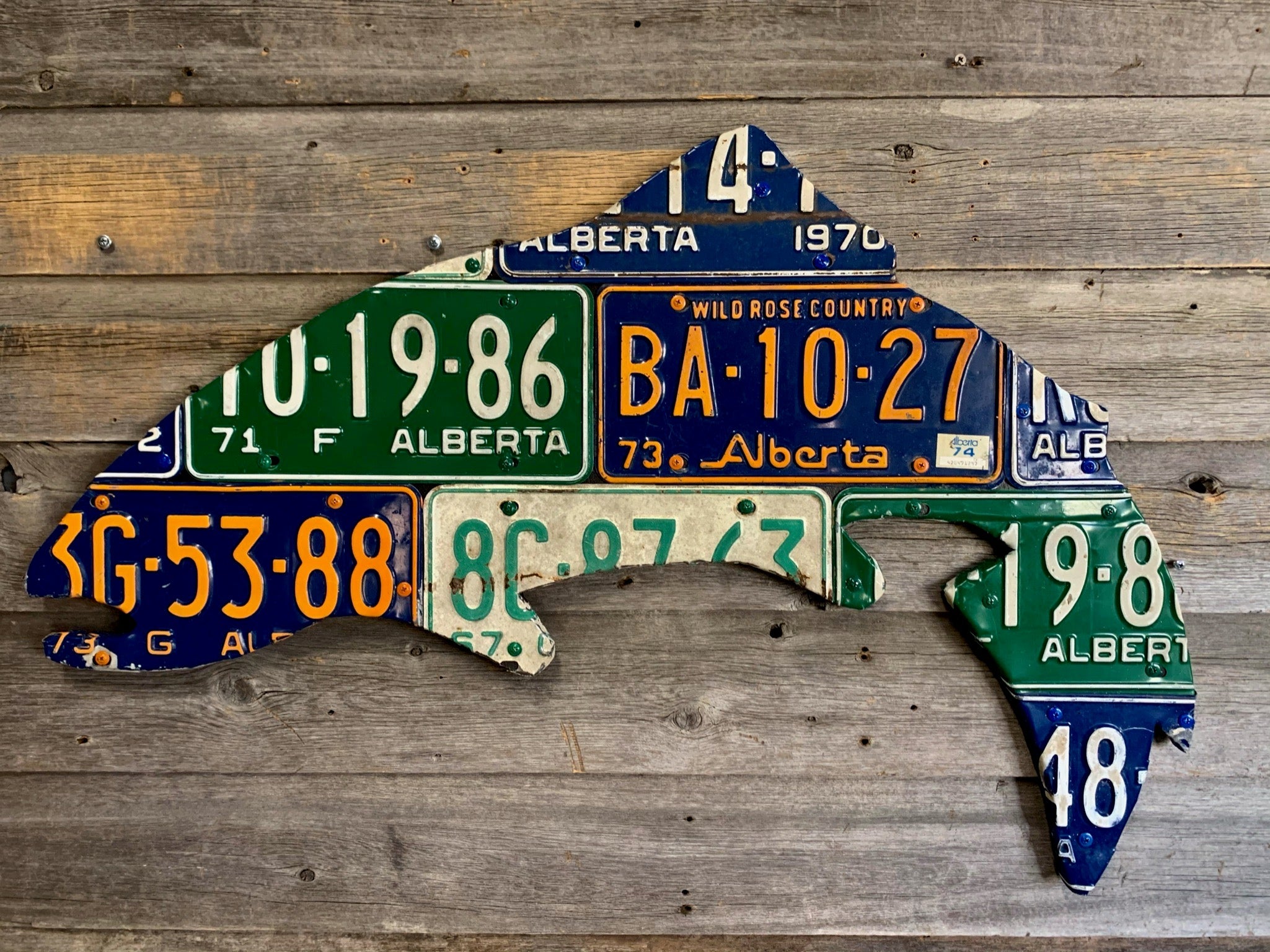 Alberta Trout License Plate Art – Madison River Fishing Company