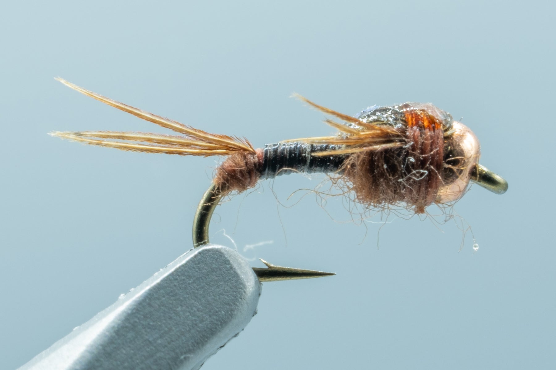 Micro Mayfly Brown #20 – Madison River Fishing Company