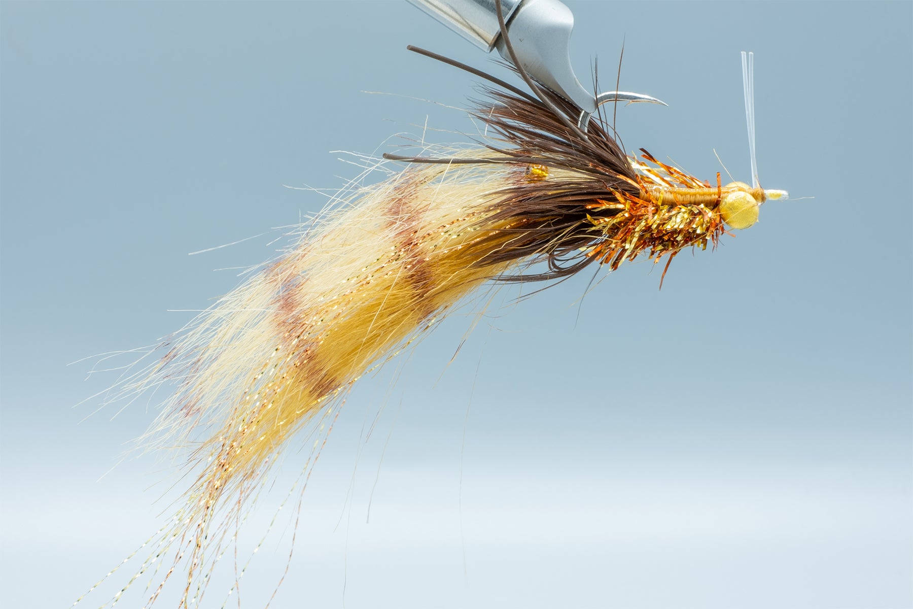 Colby's Gulf Coast Corona Toad #1/0 – Madison River Fishing Company