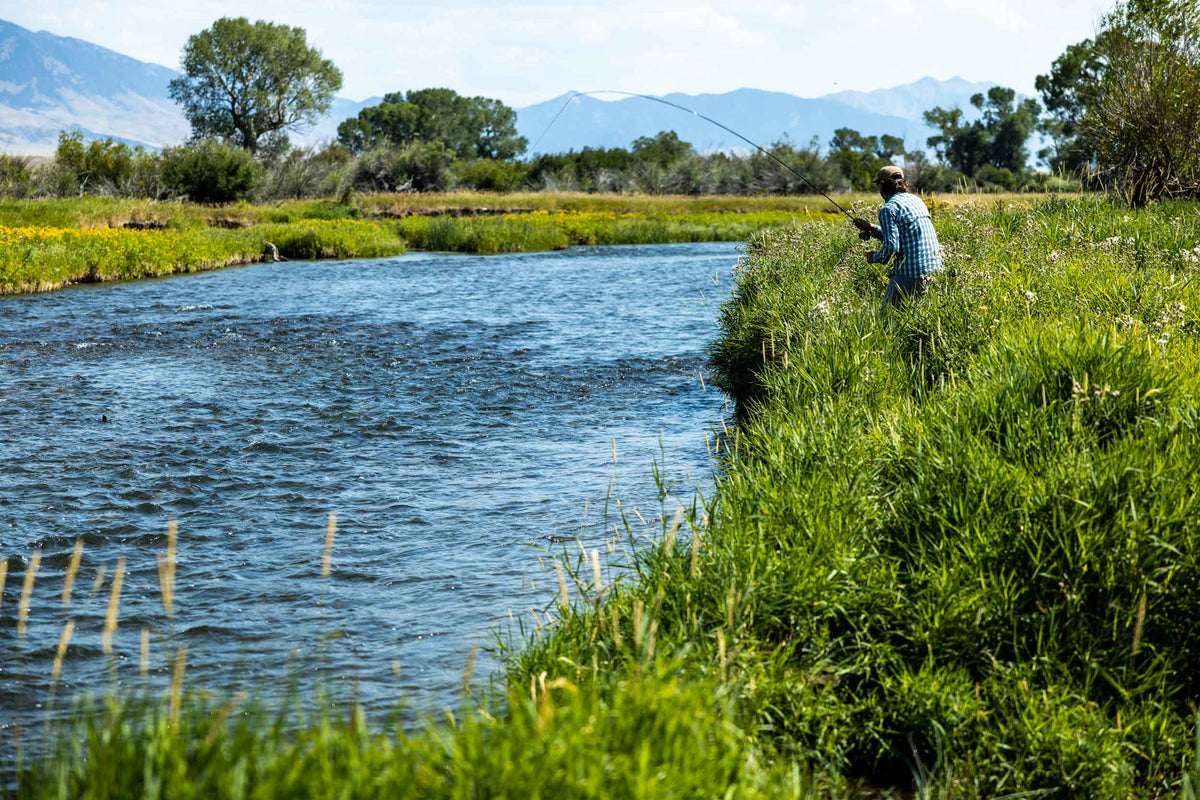 Madison River Fishing Report | MRFC – Madison River Fishing Company