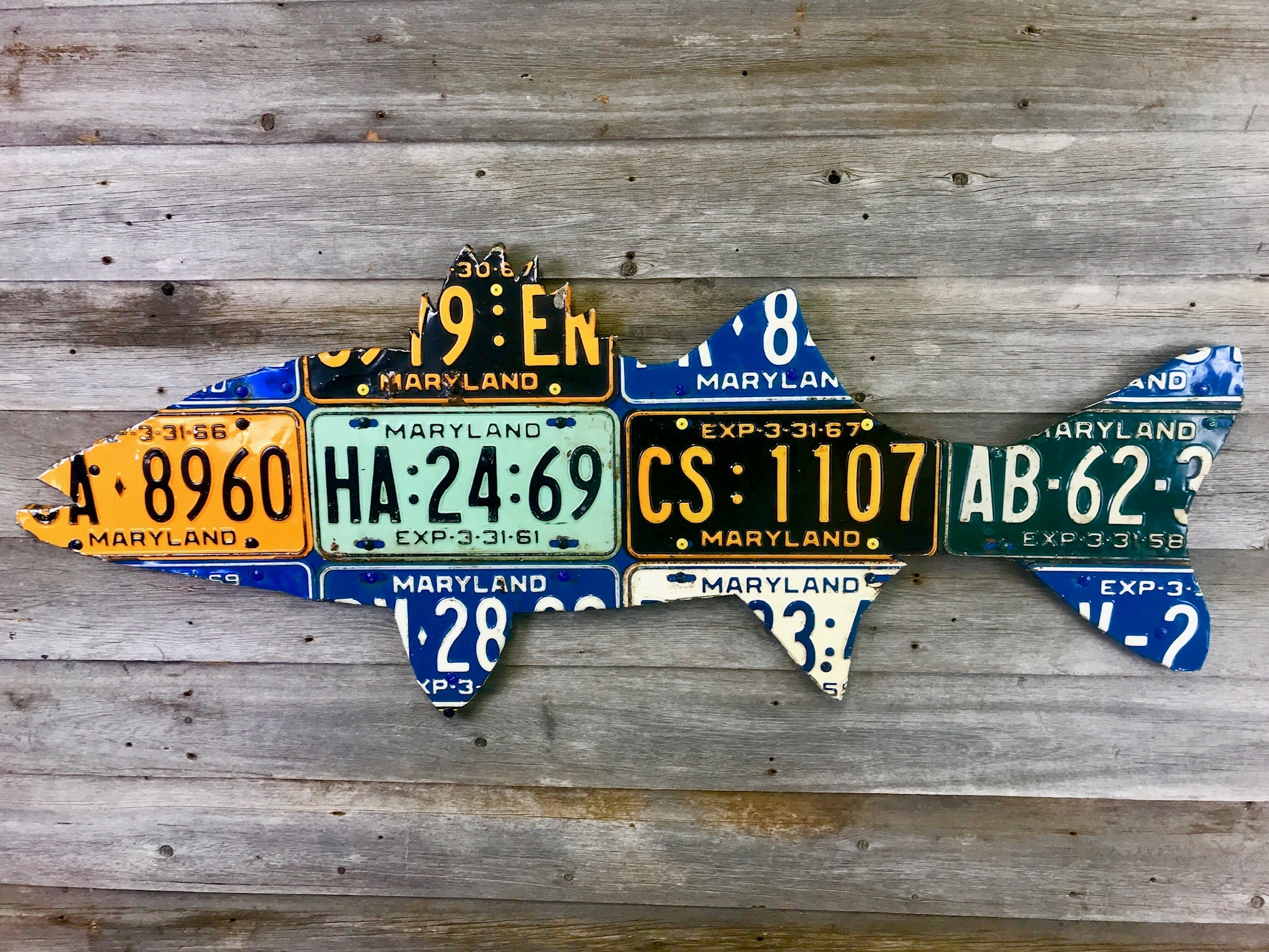 Maryland Striped Bass License Plate Art – Madison River Fishing Company