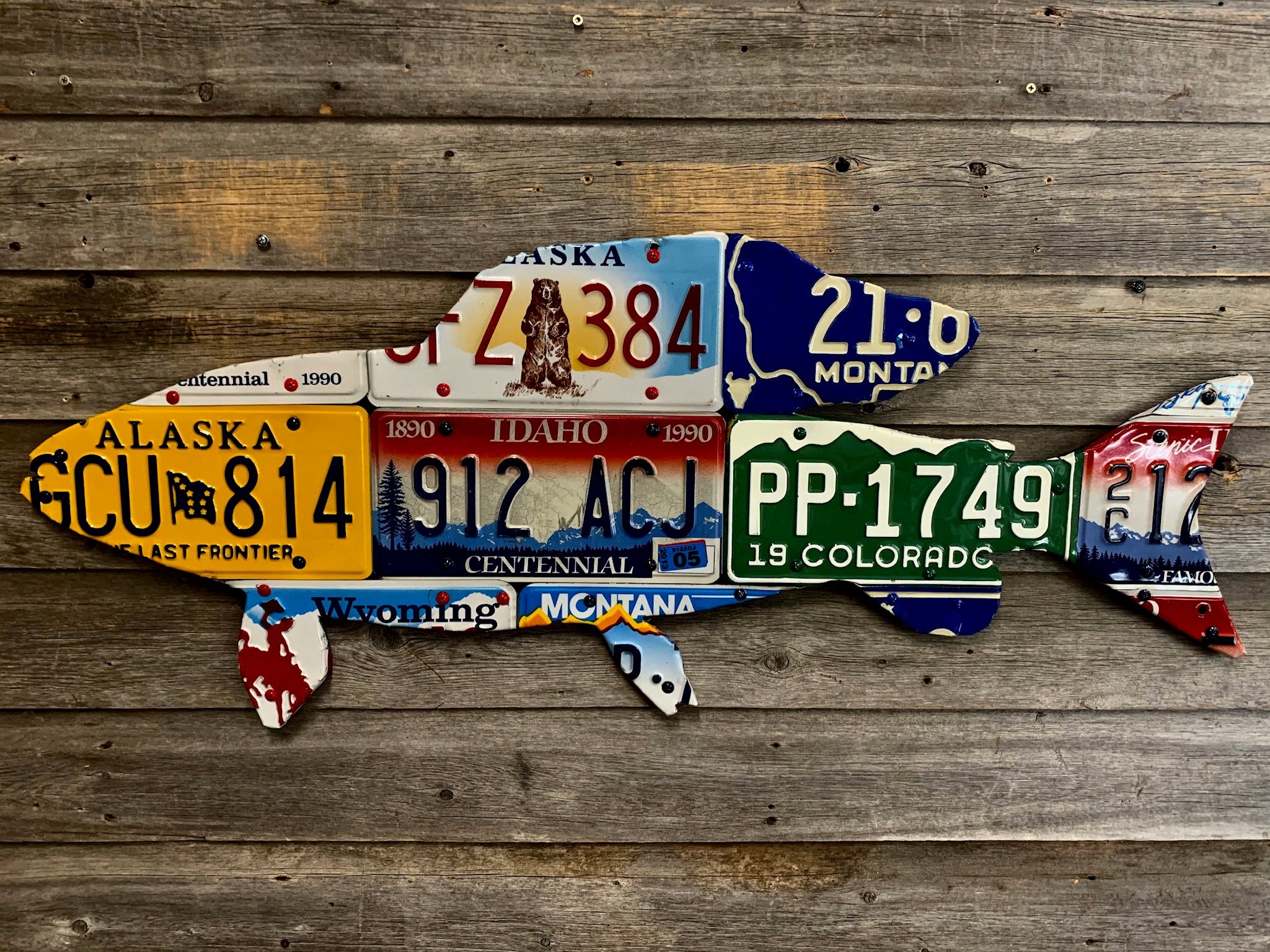 Mixed Western Grayling License Plate Art – Madison River Fishing Company
