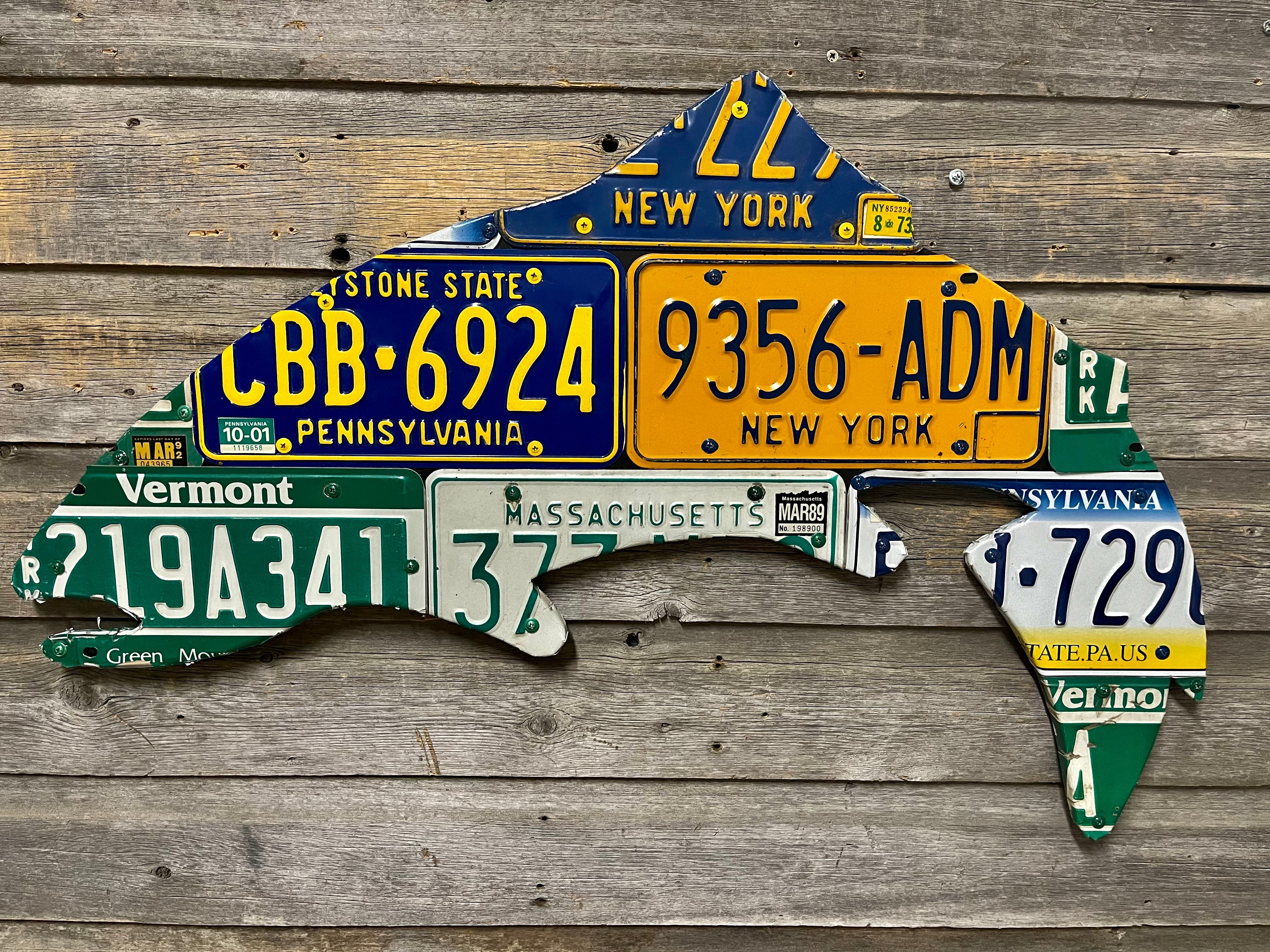 Mixed Northeast Trout License Plate Art – Madison River Fishing Company