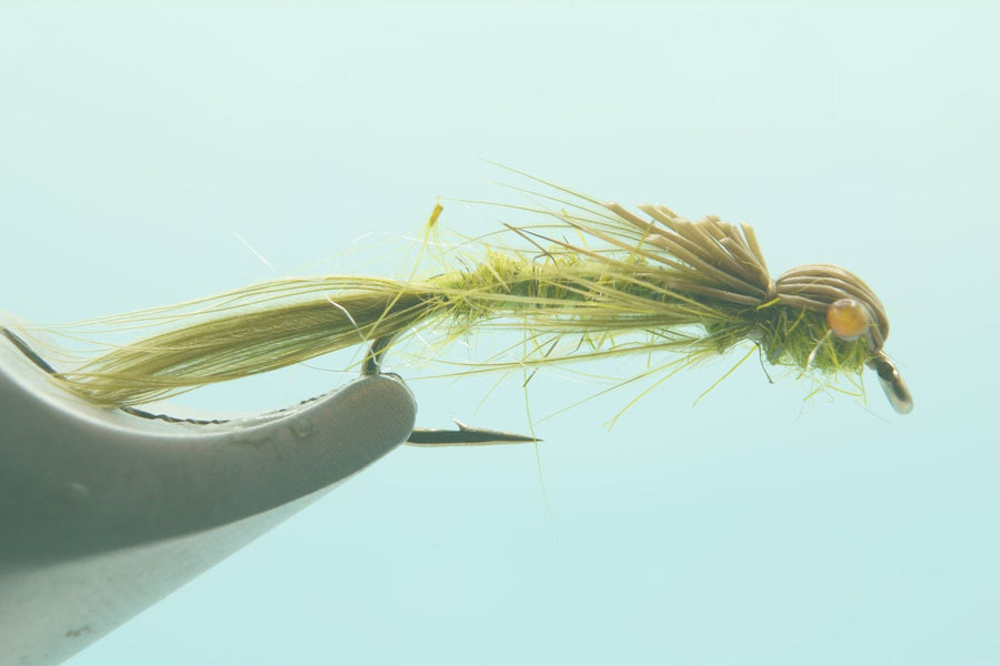 Eggs, Scuds, Worms, etc. – Madison River Fishing Company