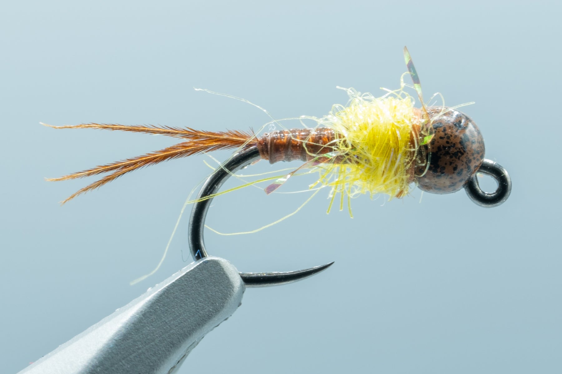 Tung Tied PMD – Madison River Fishing Company