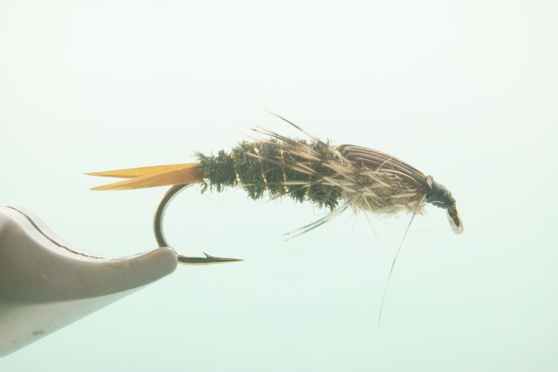 Twenty Incher #6 – Madison River Fishing Company