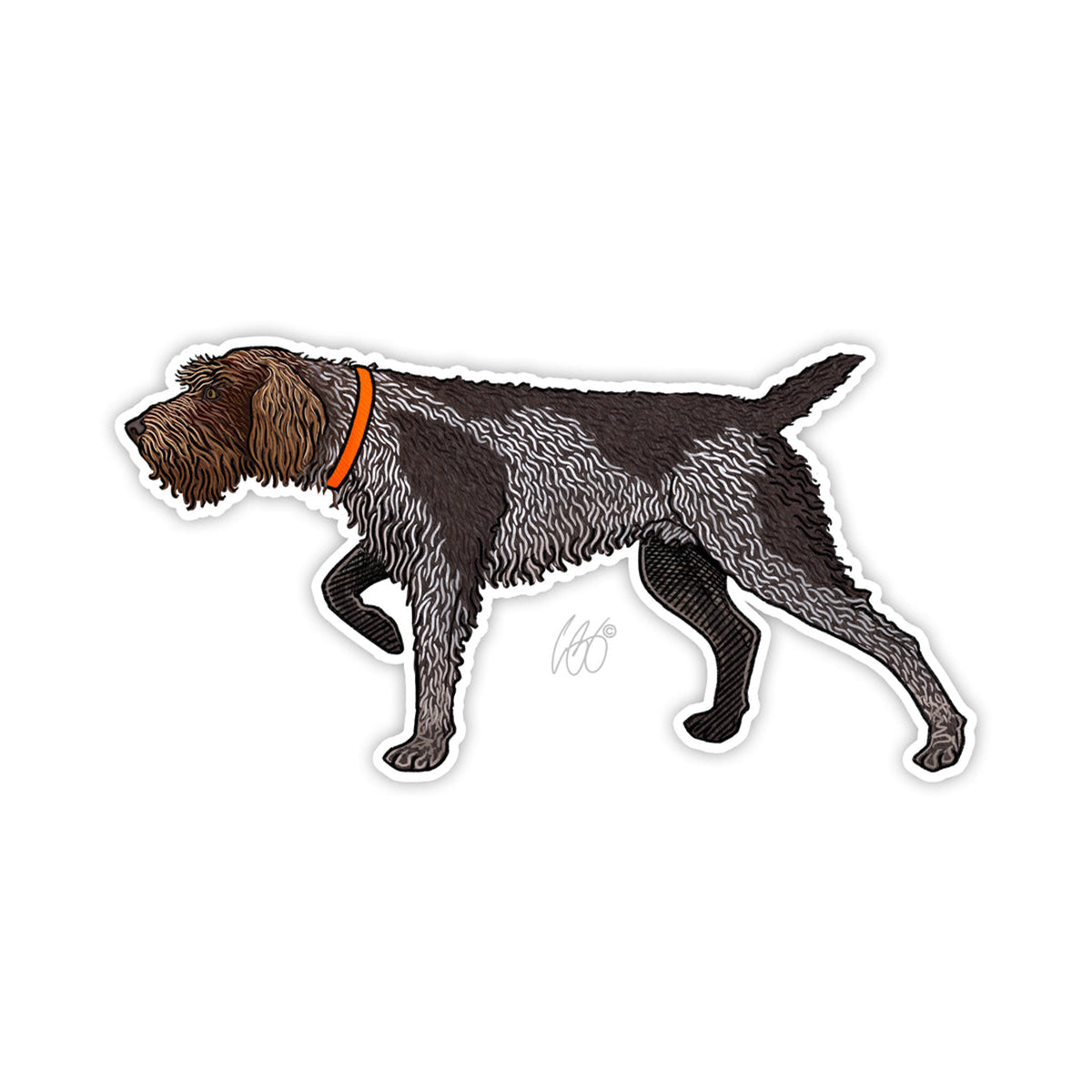 German Wiredhaired Griffon Sticker – Madison River Fishing Company