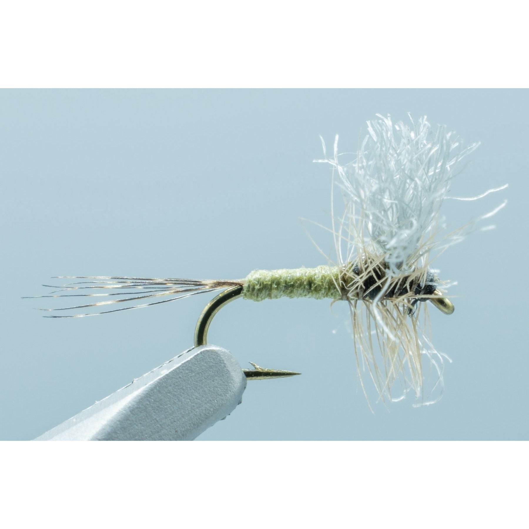 Comparadun BWO #20 – Madison River Fishing Company