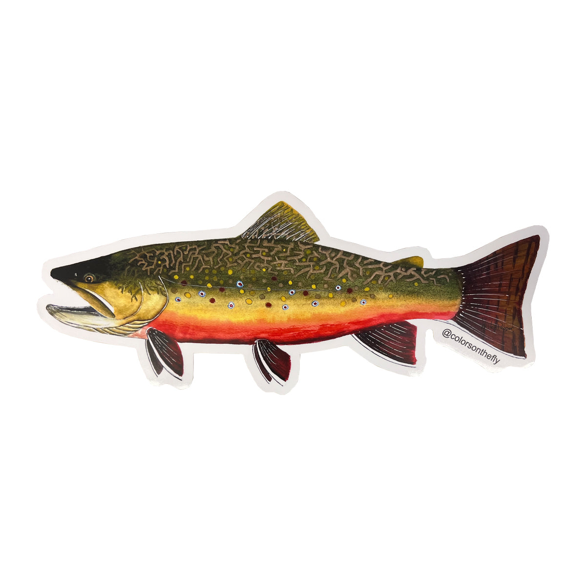 Mike Pepper "Colors on the Fly" 20" Brook Trout Sticker – Madison River ...