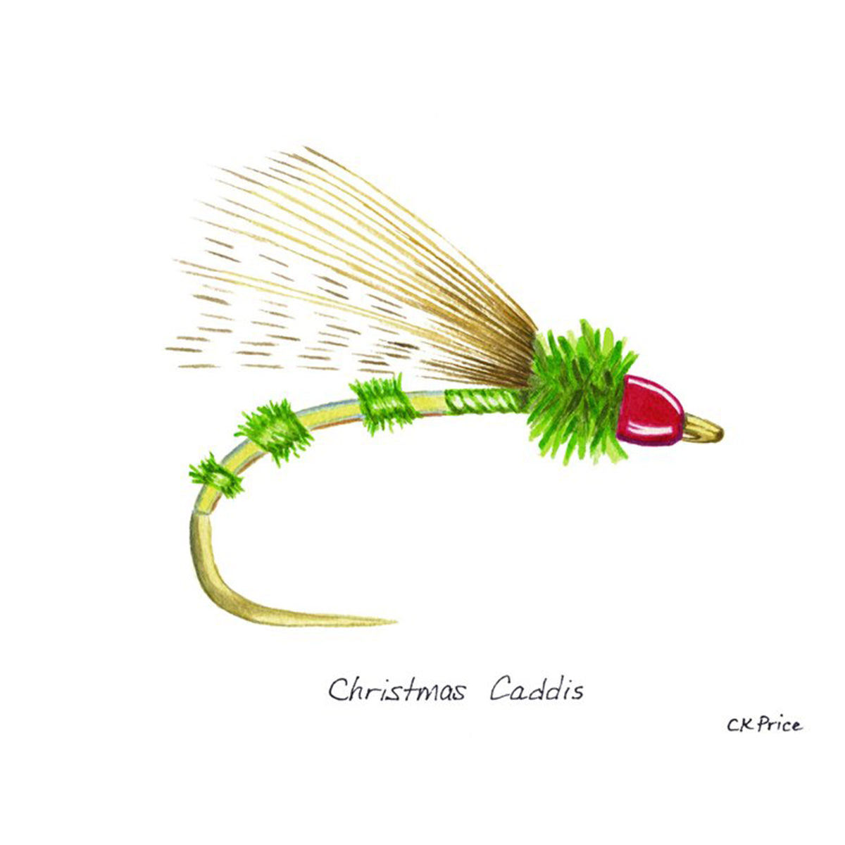 Caroline Price Art - Christmas Caddis 5 Pack w/ Envelops – Madison ...