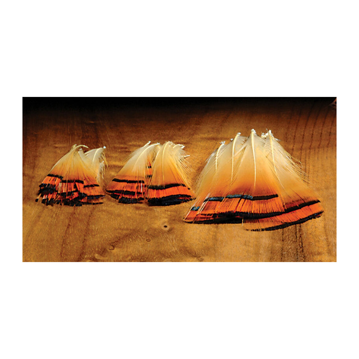 Golden Pheasant Tippets – Madison River Fishing Company
