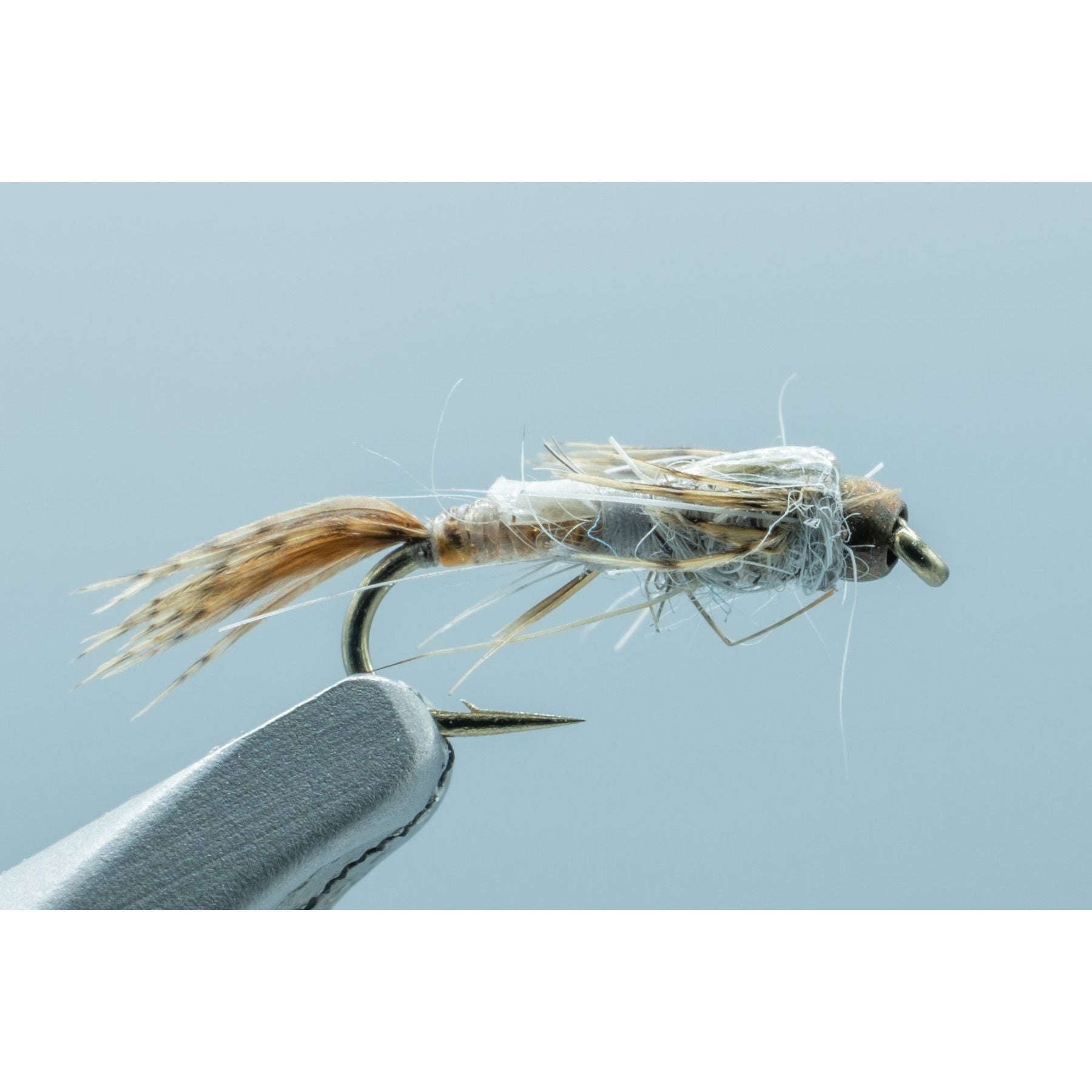 BH Baetis Nymph Gray #18 – Madison River Fishing Company
