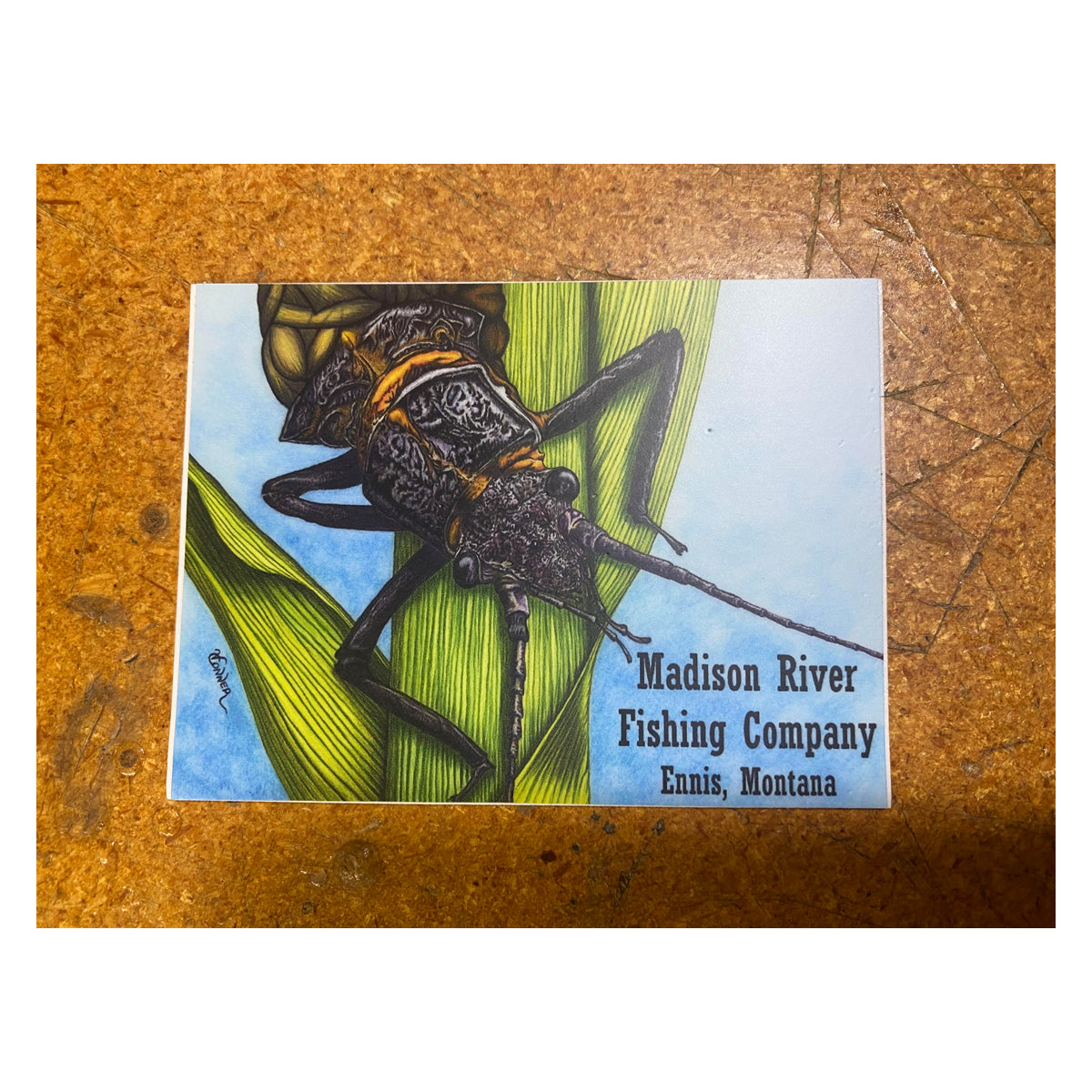 Conner Art Studio MRFC Logo Stonefly Sticker – Madison River Fishing ...