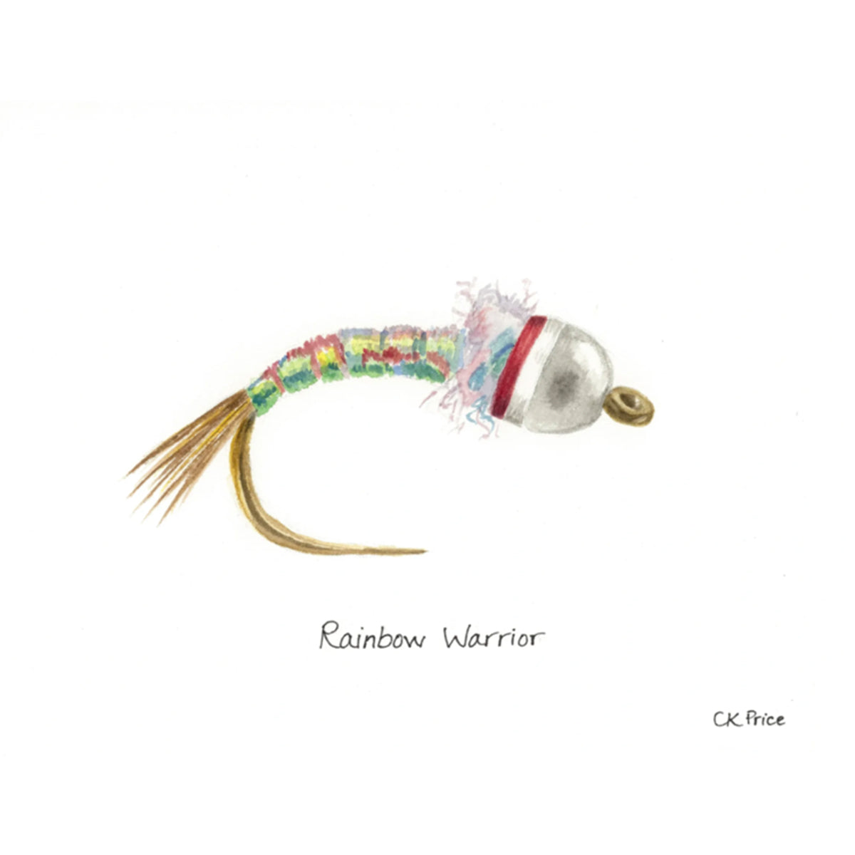Caroline Price Art Rainbow Warrior 10 Pack w/Envelopes – Madison River ...