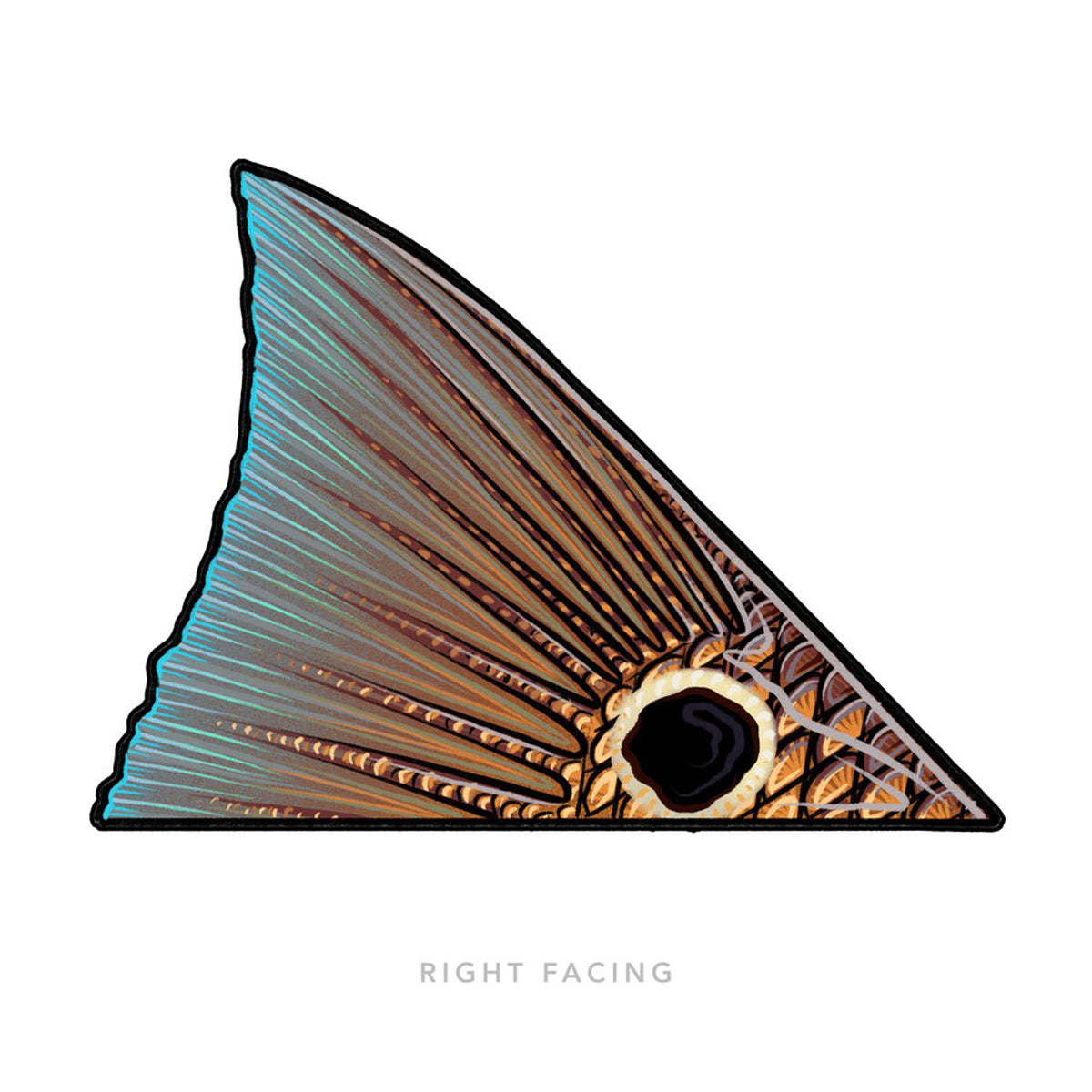 Redfish Tail Right Sticker – Madison River Fishing Company